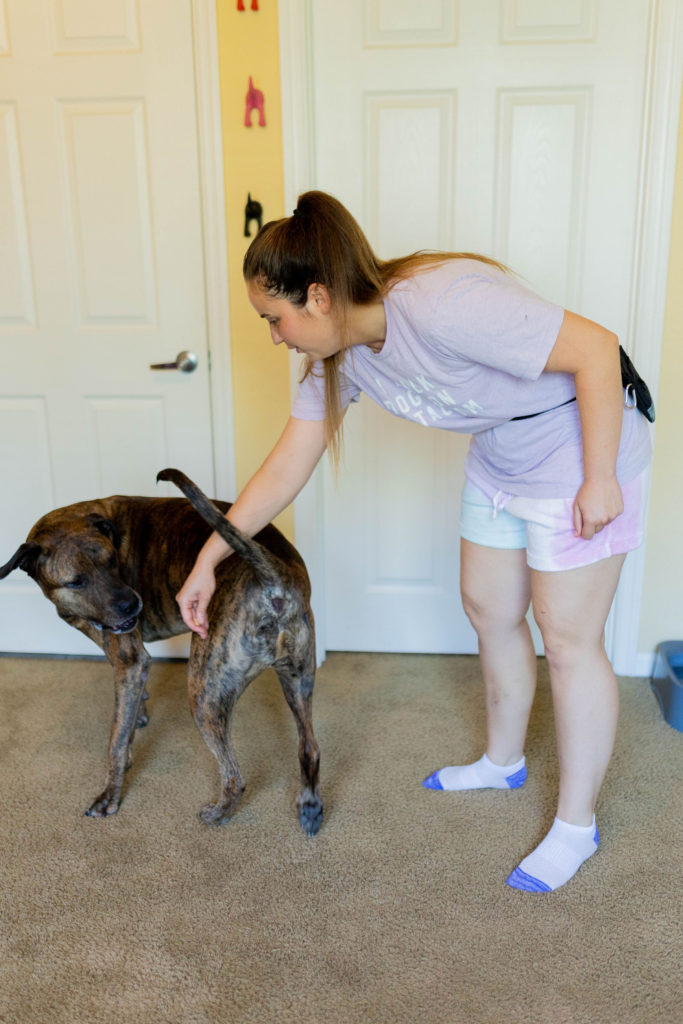 3 Easy Stretches For Dogs