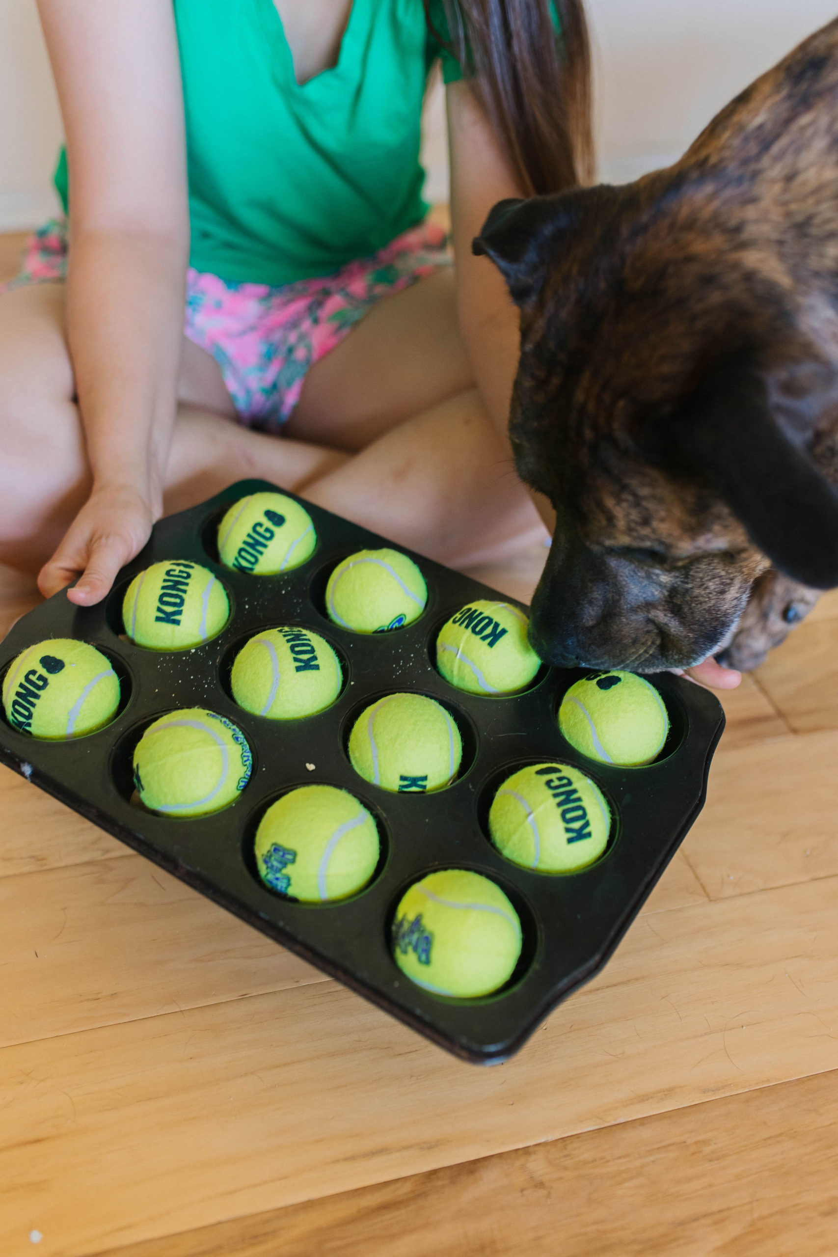 3 DIY Dog Enrichment Ideas Using Tennis Balls