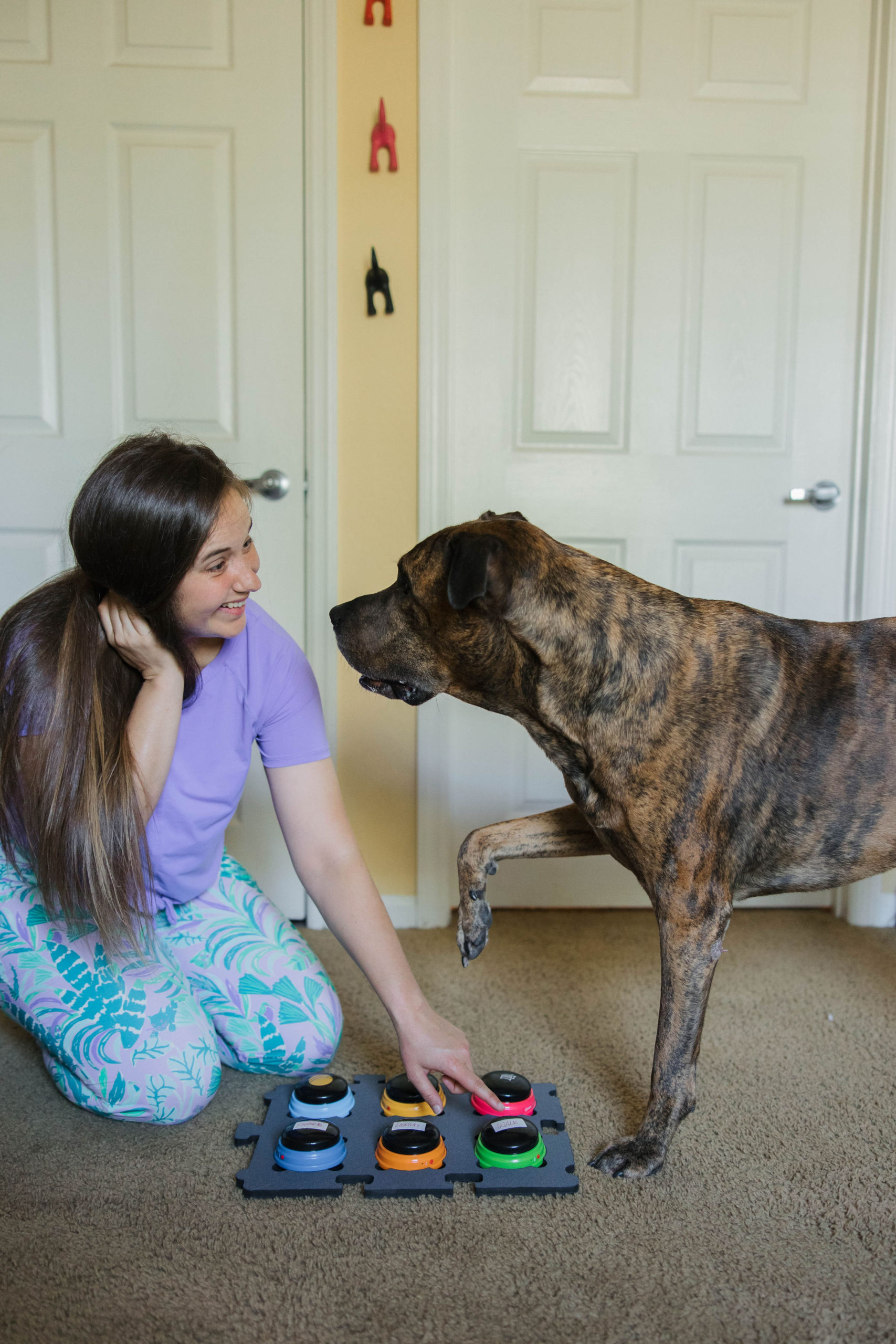 Dog Enrichment Ideas – Sparkles and Sunshine Blog