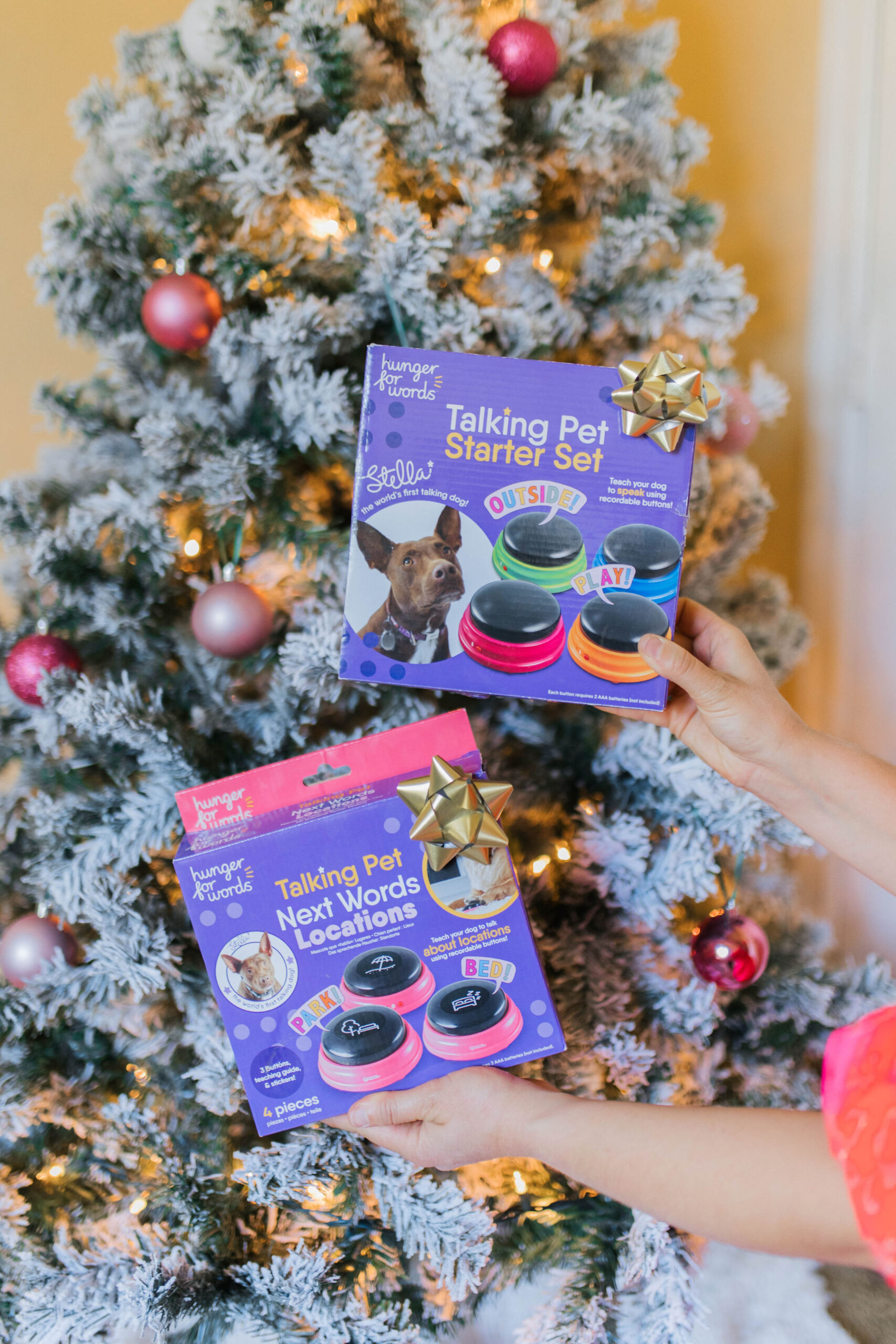 15+ Christmas Gifts For Dogs and Dog Owners – Sparkles and Sunshine Blog