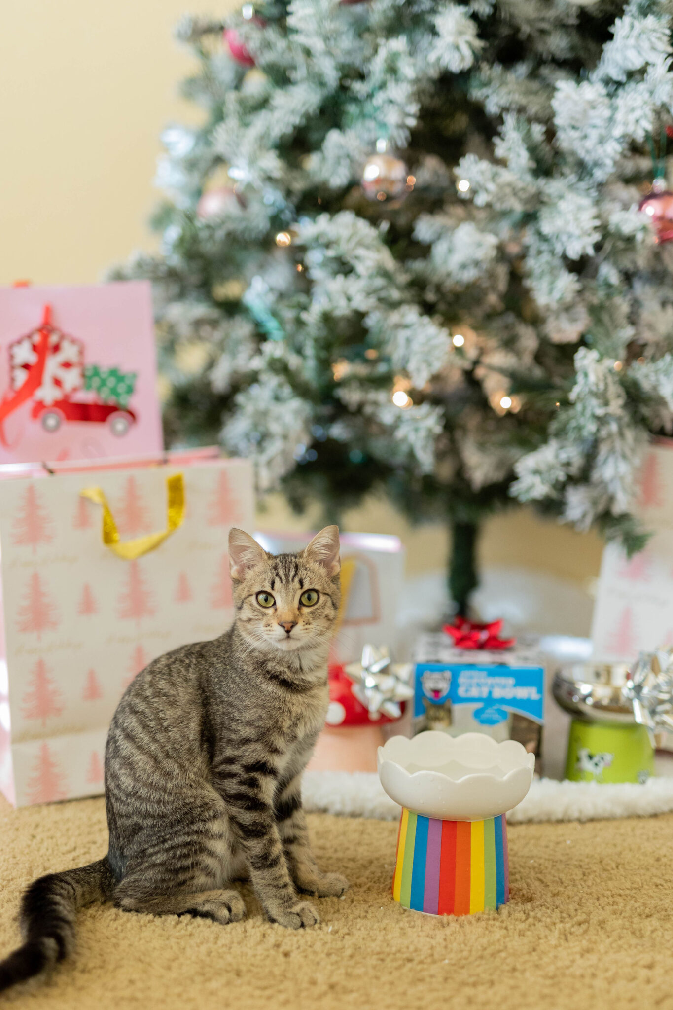 5+ Cat Mom Gifts & Christmas Gifts For Your Cat – Sparkles and Sunshine ...