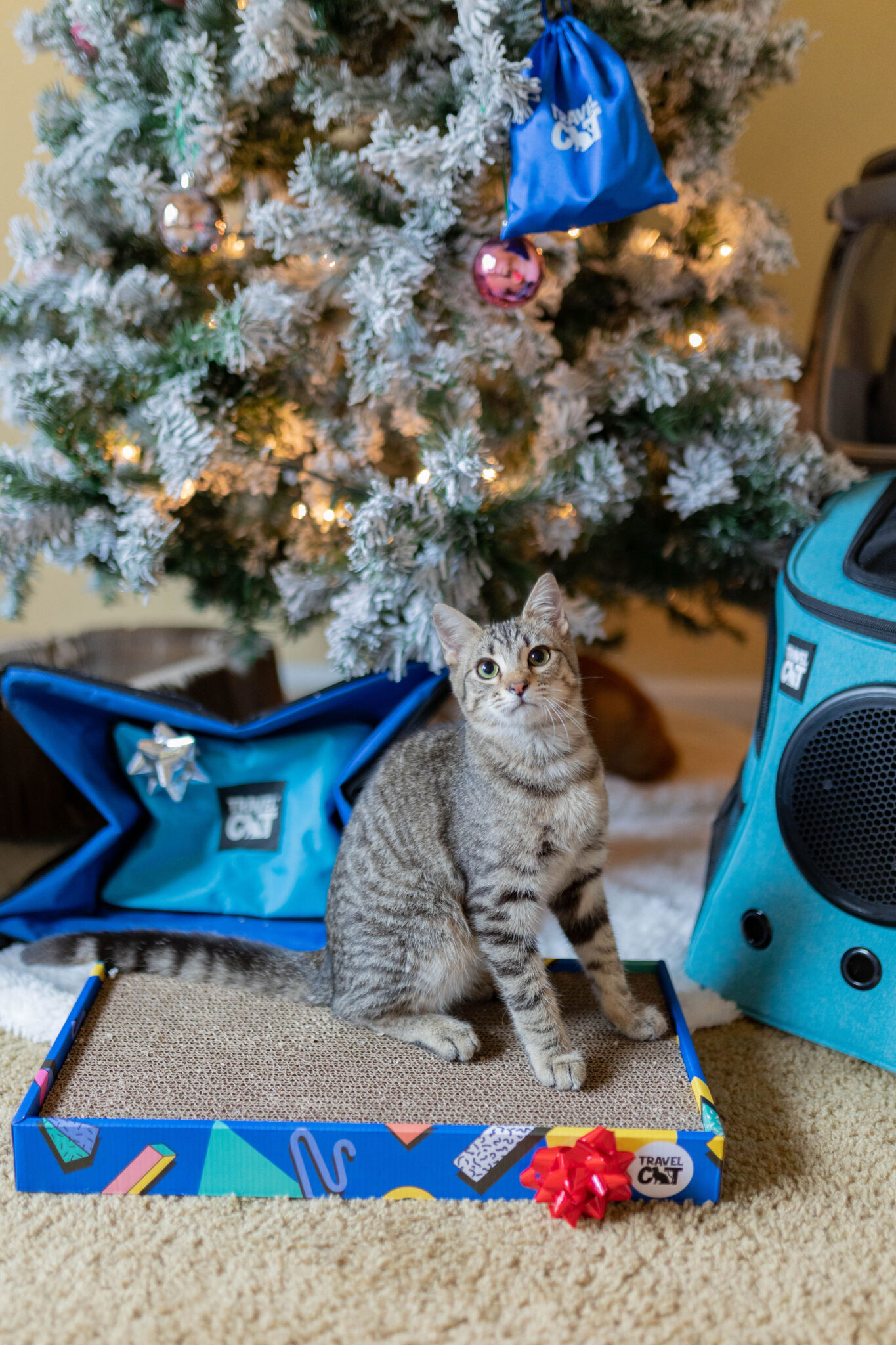 5+ Cat Mom Gifts & Christmas Gifts For Your Cat – Sparkles and Sunshine ...