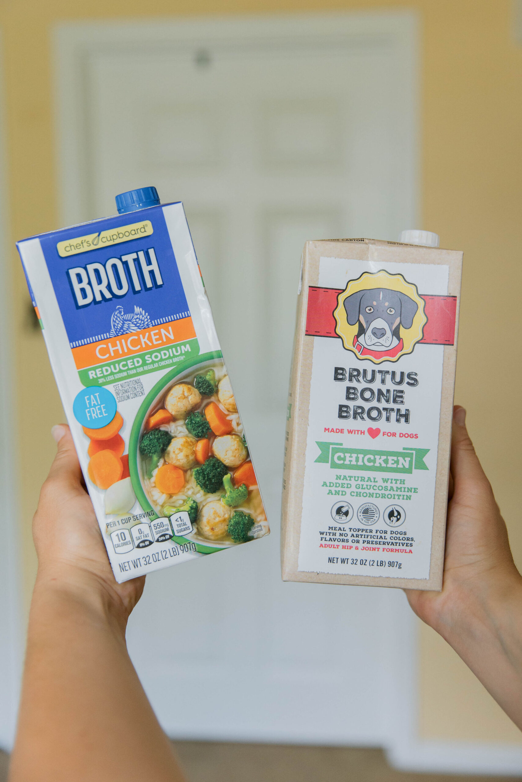 Benefits Of Bone Broth For Dogs + Brutus Beef Bone Broth Dog Lick Mat ...