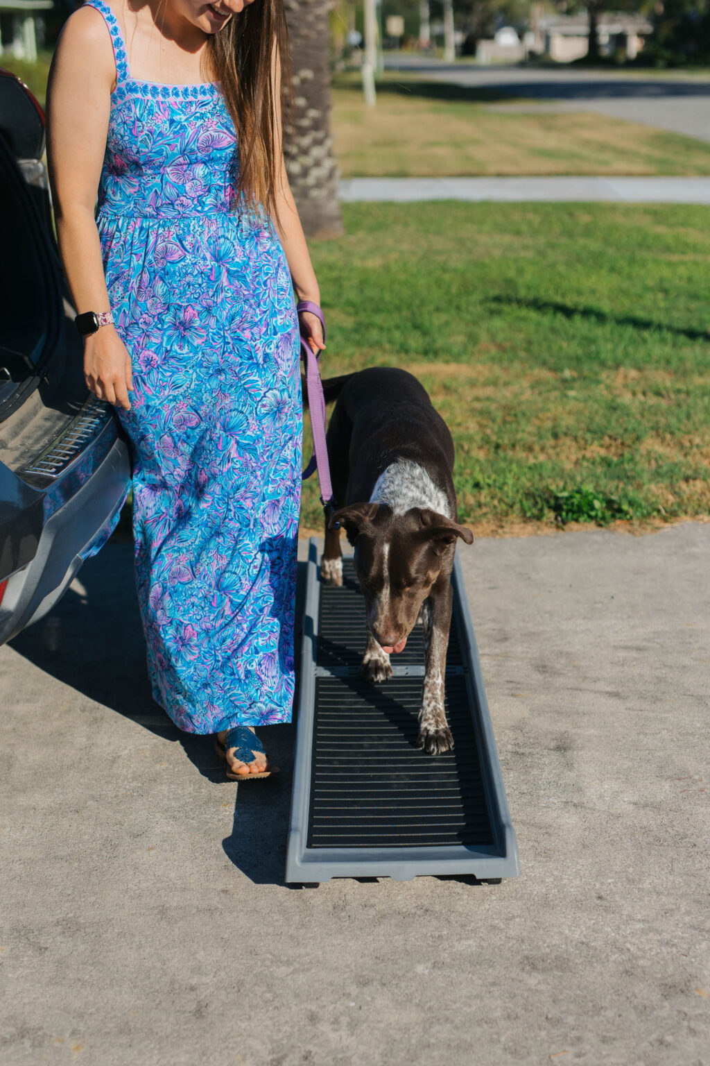 WeatherTech Lightweight Folding Dog Ramp: Dog Ramps For Large Dogs ...