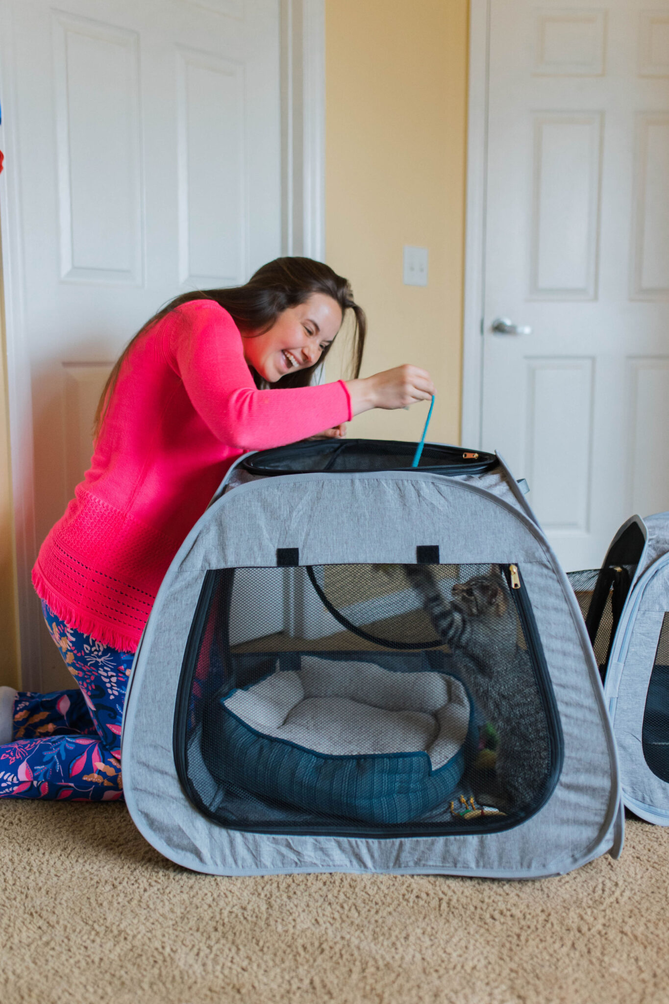 Portable Cat Enclosure Tent Review – Sparkles and Sunshine Blog