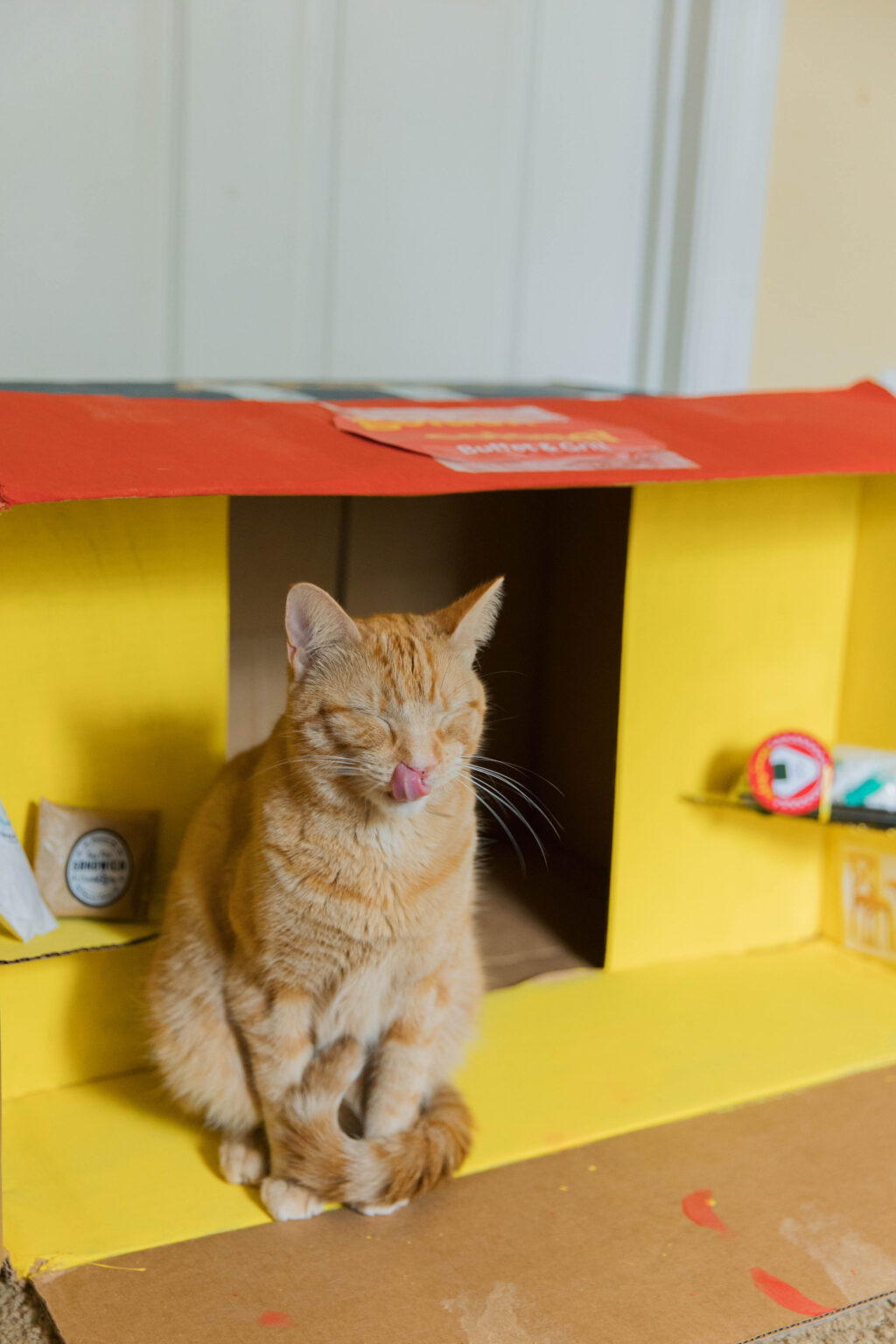 DIY Cat Enrichment Cardboard Cat House With Crochet Kitty Catnip Toys ...