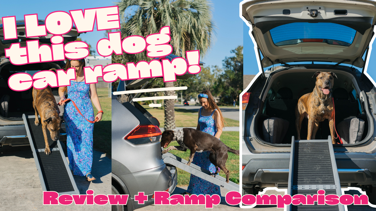 Sparkles and Sunshine Blog