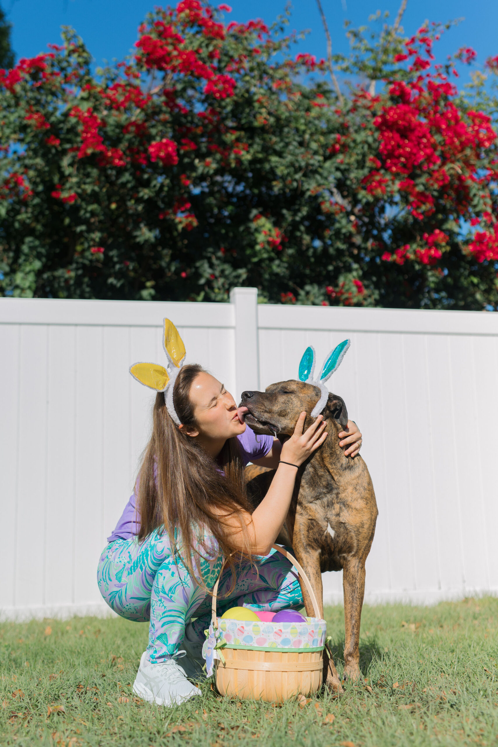 Dog Enrichment Idea: Dog Easter Egg Hunt – Sparkles and Sunshine Blog