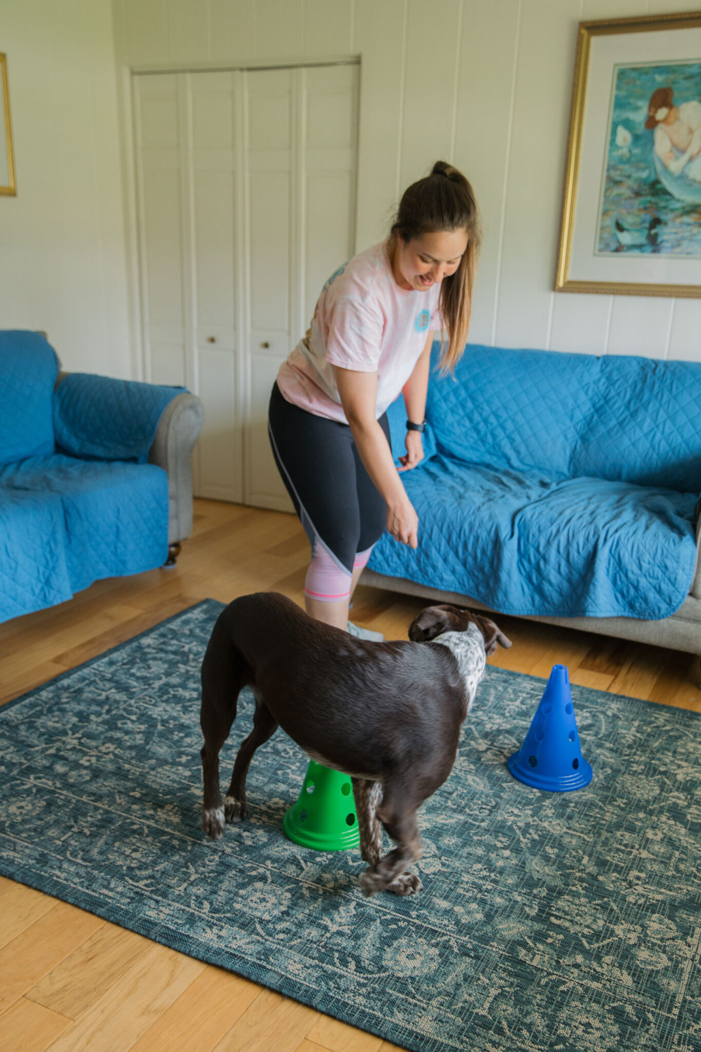 4 Dog Cavaletti K9 Fitness Exercises – Sparkles and Sunshine Blog