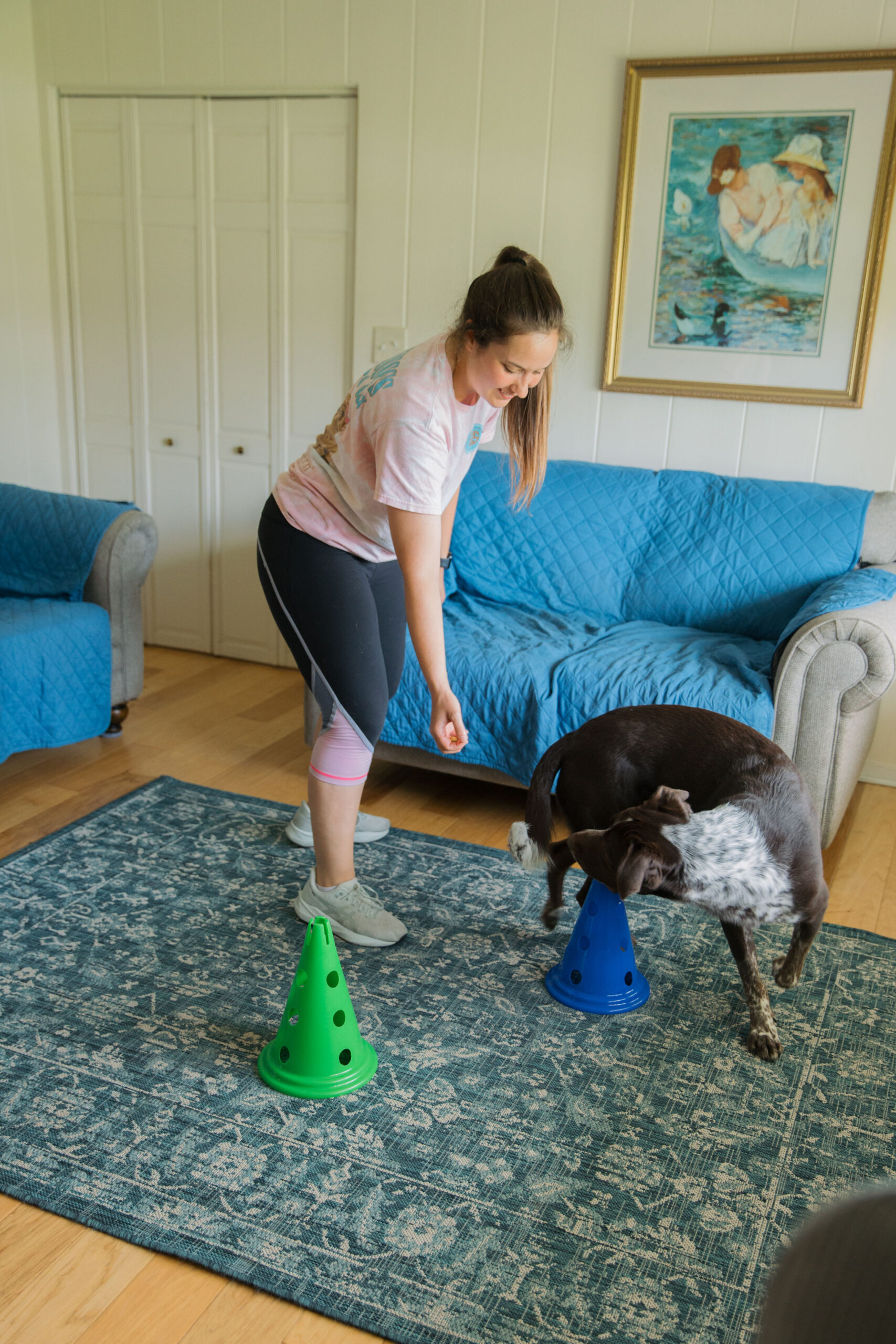 4 Dog Cavaletti K9 Fitness Exercises – Sparkles and Sunshine Blog